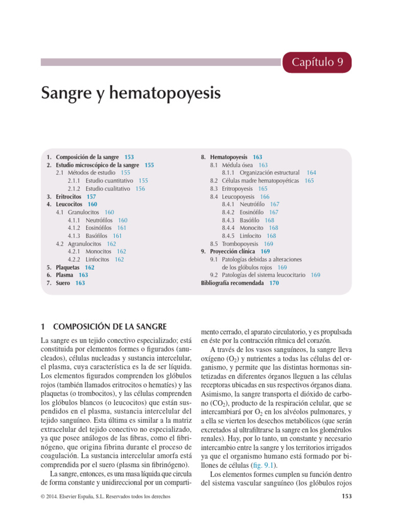 Sangre y Hematopoyesis | PDF | Sangre | Leucocito