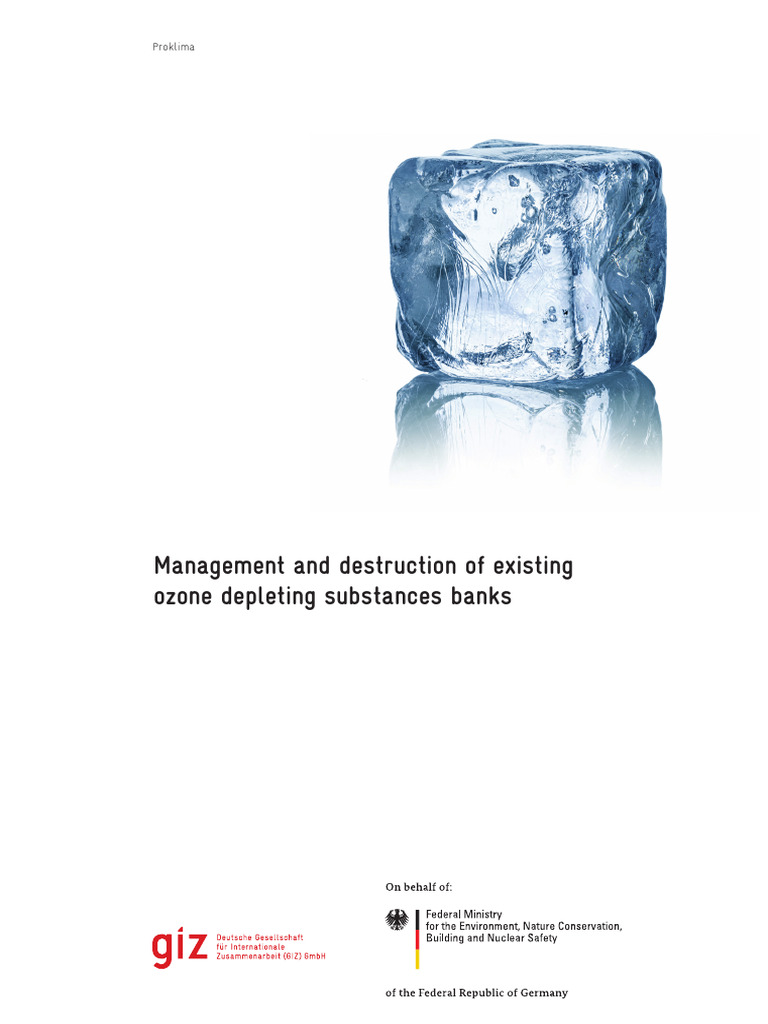 Giz2015 en Study Ods Banks Management | PDF | Chlorofluorocarbon ...
