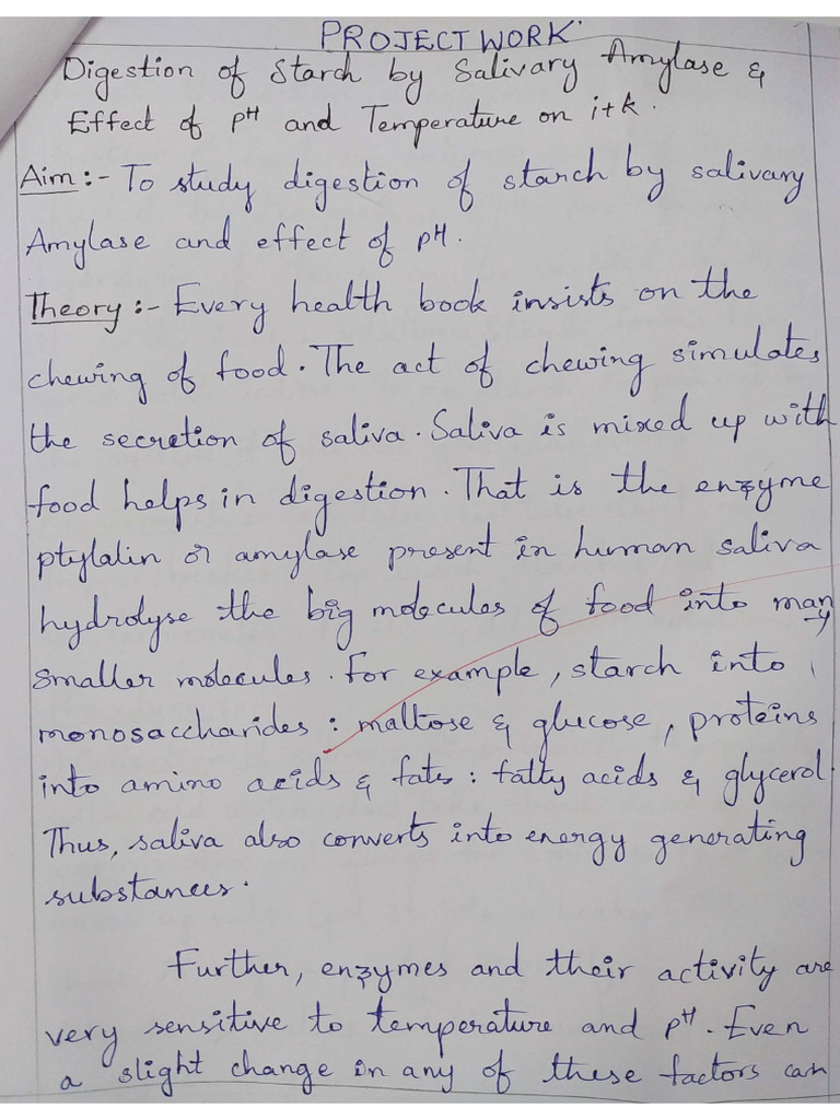 Digestion of Starch by Salivary Amylase | PDF