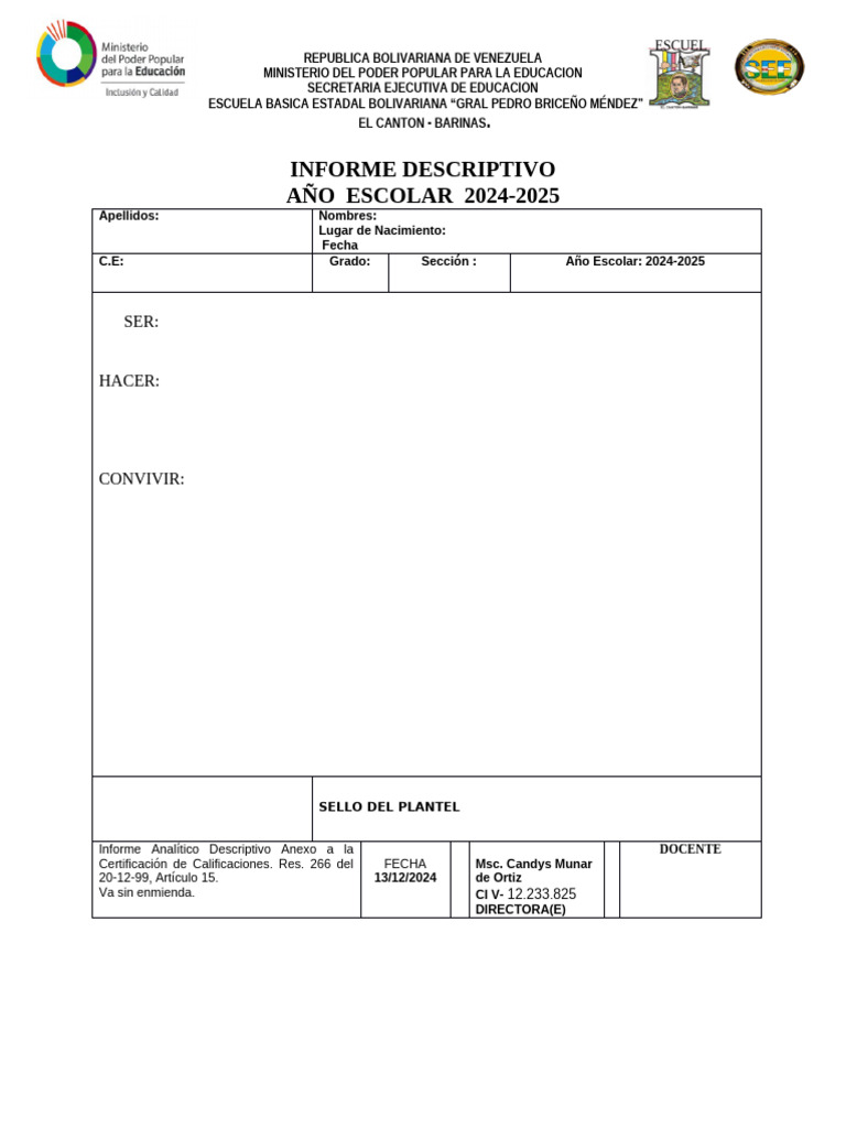 FORMATE INFORME DESCRIPTIVO | PDF