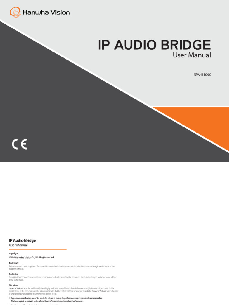 Manuals SPA-B1000 240703 | PDF | Computer Network | Domain Name System