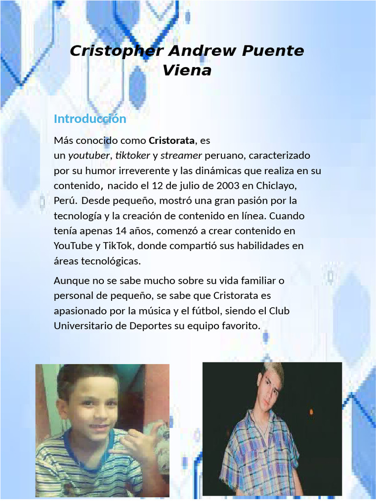 Cristopher Andrew Puente Viena | PDF