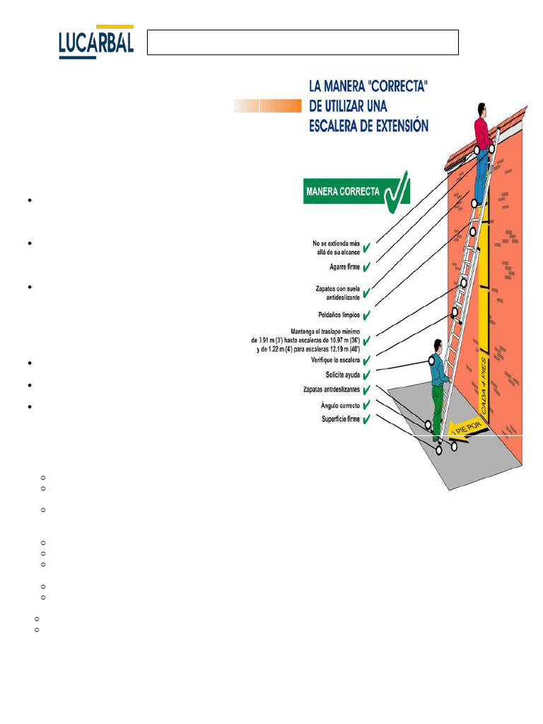 05 Seguridad con Escaleras | PDF | Escalera | Escalera