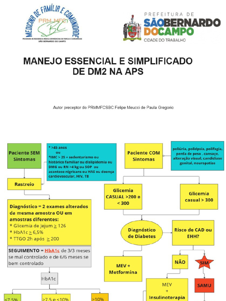 Guia Rápido de DM2 SBC | PDF