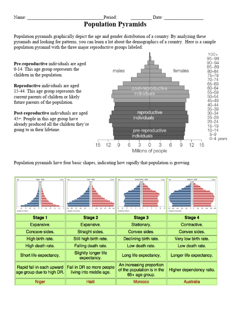 Jonathan Castillo - Intro To Population Pyramids | PDF | Environmental ...