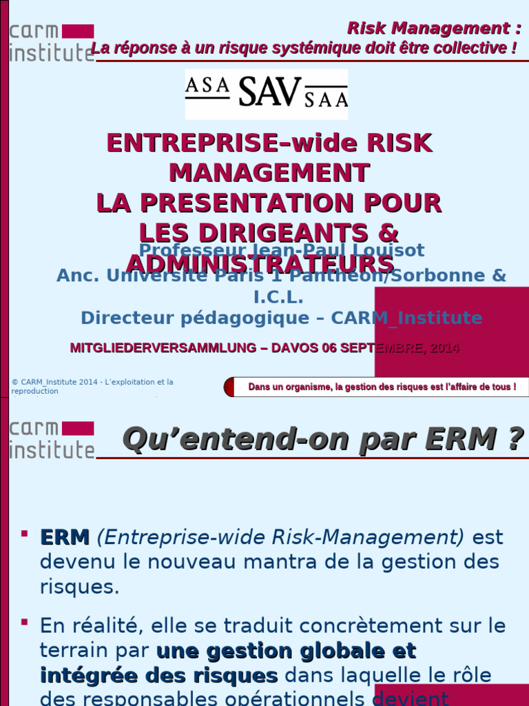 RISK MANAGEMENT | PDF | Gestion des risques | Risque