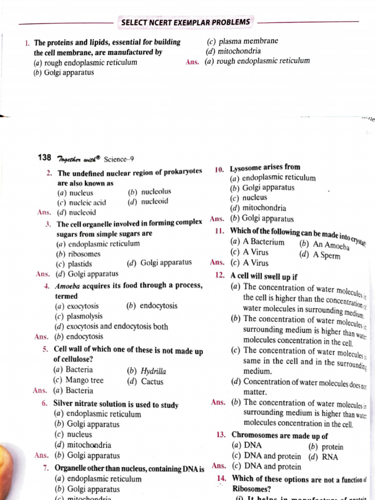 NCERT Class 9 Cell Biology Quiz | PDF | Endoplasmic Reticulum | Cell ...