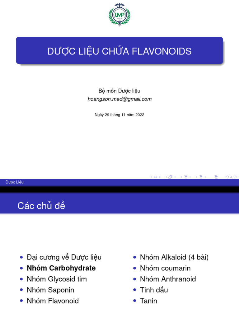 Bai 8 Flavonoids | PDF