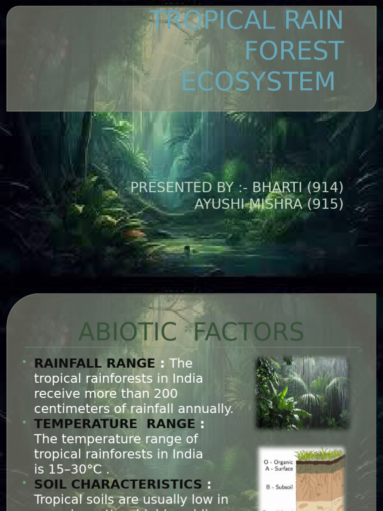 TROPICAL RAIN FOREST ECOSYSTEM | PDF | Rainforest | Deforestation