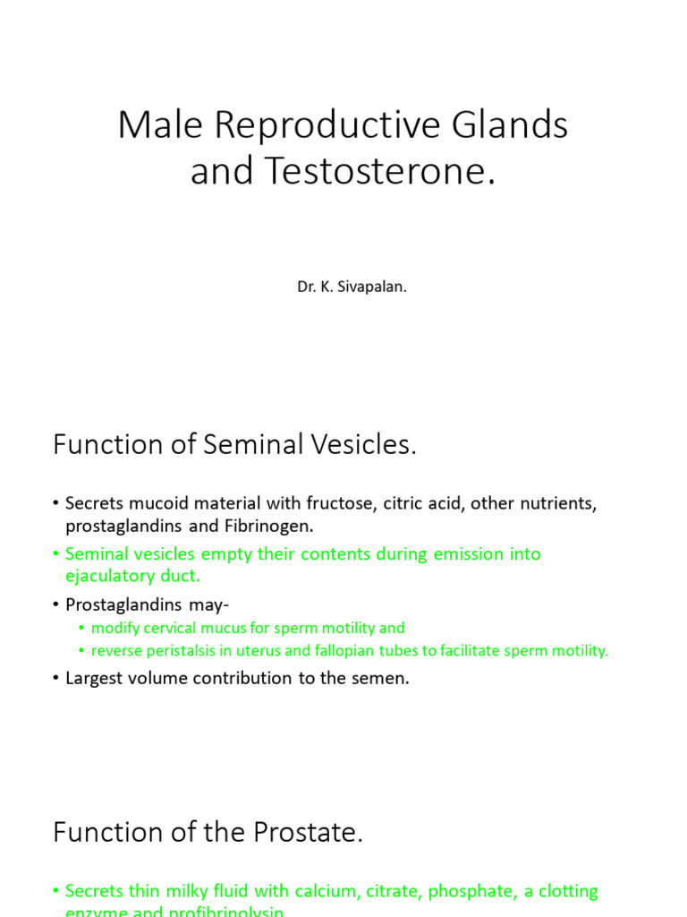 2 Male Reproductive Glands and Testosterone (44 Minutes) | PDF | Semen ...