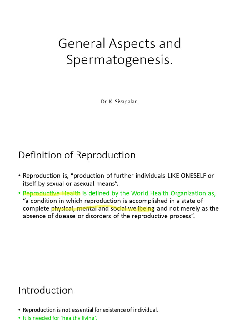 1 Introduction and Spermatogenesis (63 Minutes) | PDF | Testicle ...
