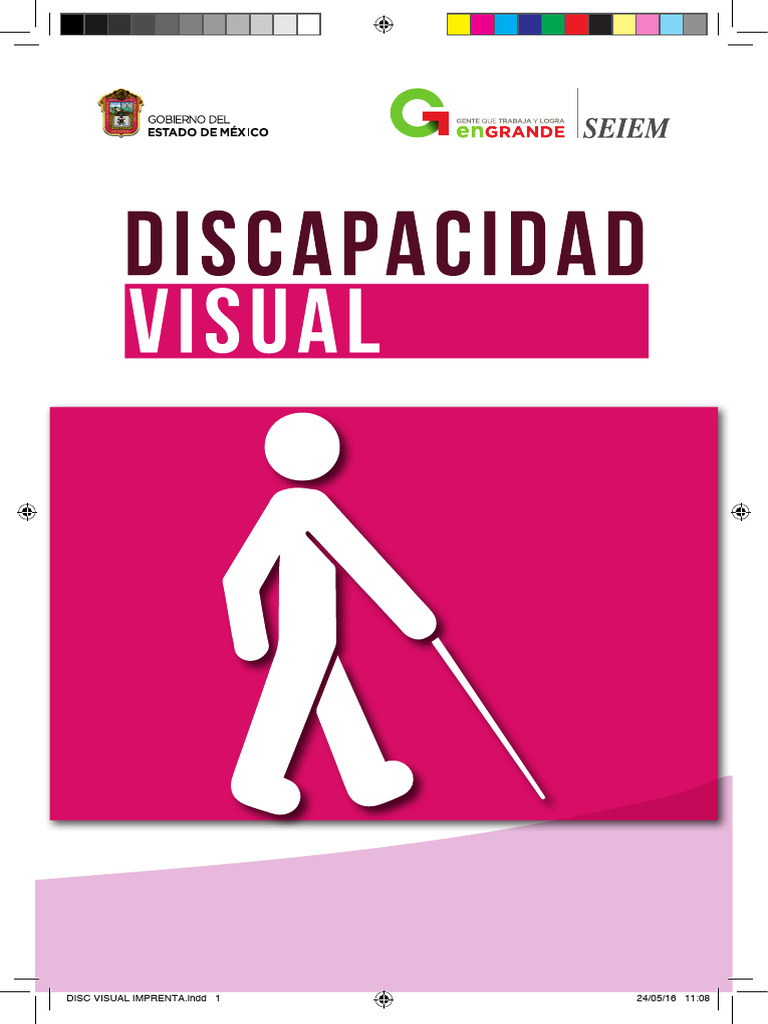 DISC VISUAL IMPRENTA | PDF | Ojo humano | Percepción visual