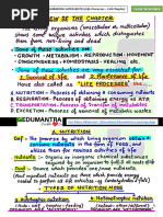 Soaps and Detergents Class 10 Science | PDF