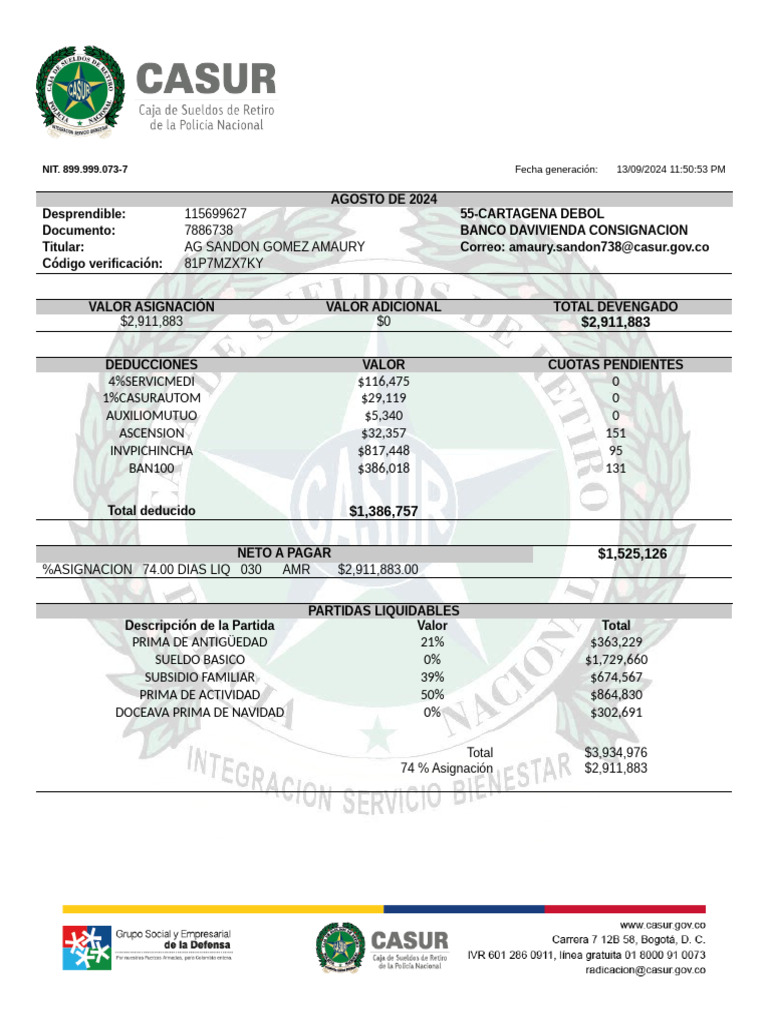 Casur desprendible-AGOSTO-202408 | PDF