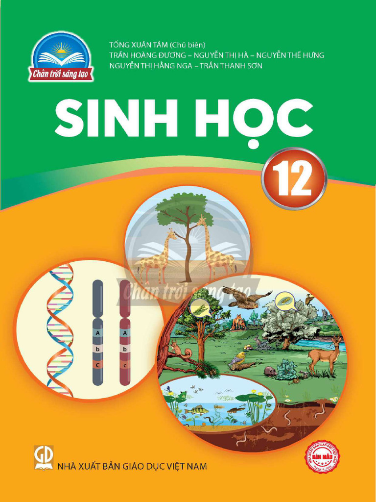 SGK 12 Chân TR I Sáng T o | PDF