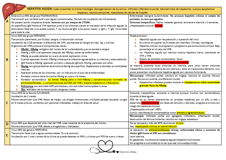 Cuadro Hepatitis ABCDE | PDF | Hepatitis | Enfermedades y trastornos