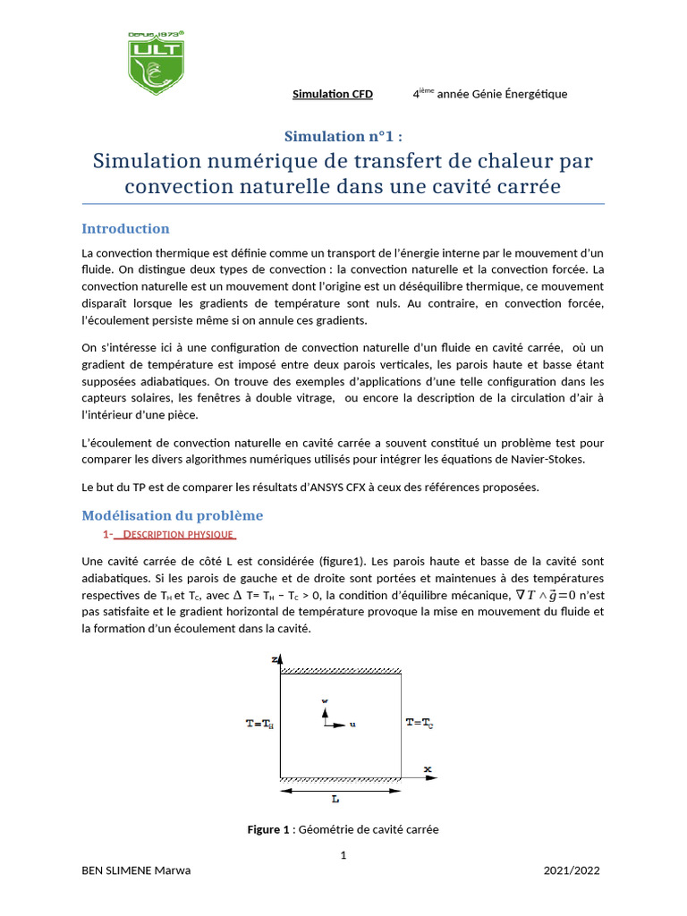 Simulation de Convection Naturelle en CFD | PDF | Convection | Chaleur