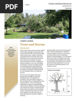 Hazard Tree Assessment Training Guide | PDF | Wood | Trees