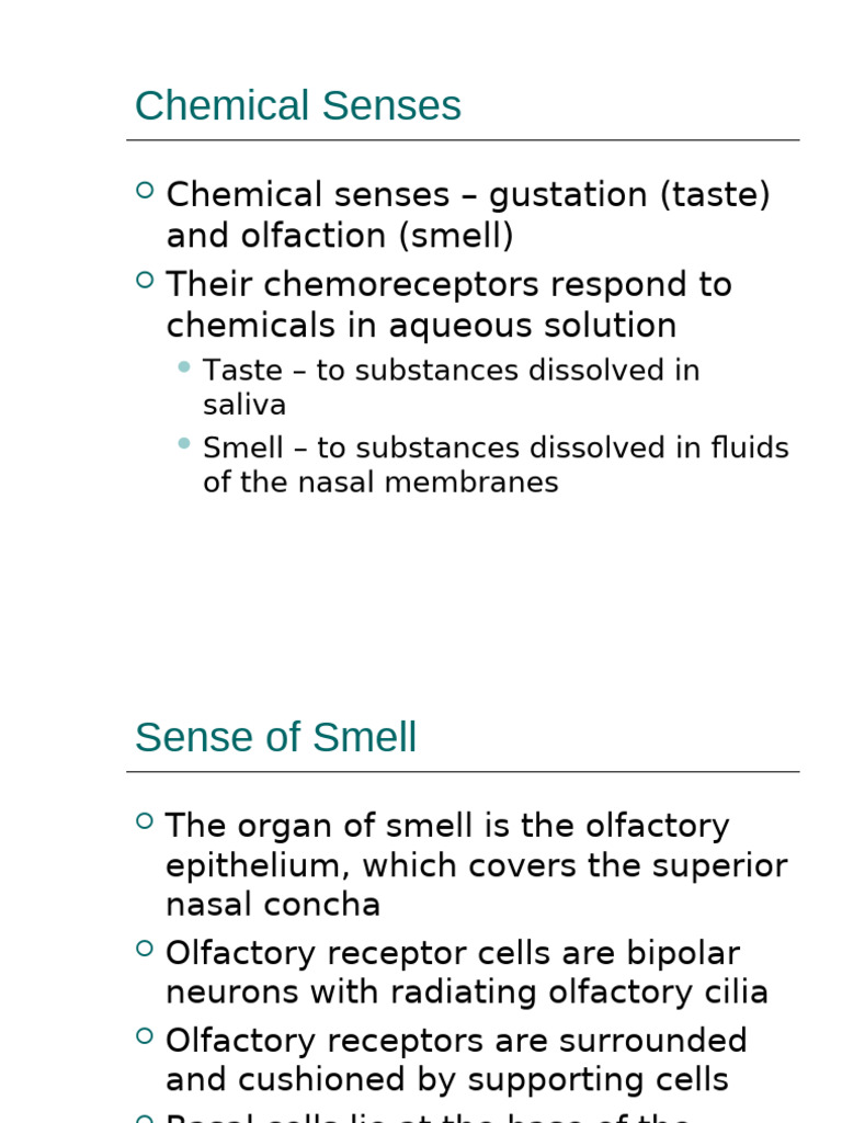 The-Sense-of-Smell (Autosaved) | PDF | Taste | Senses