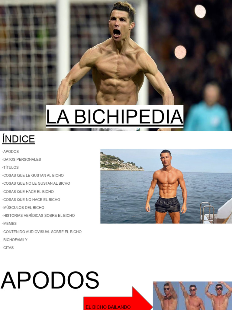 Bichi Pedia | PDF