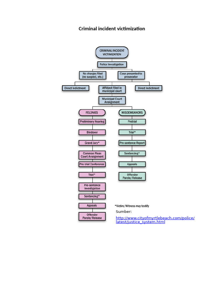 Criminal Incident Victimization III | PDF