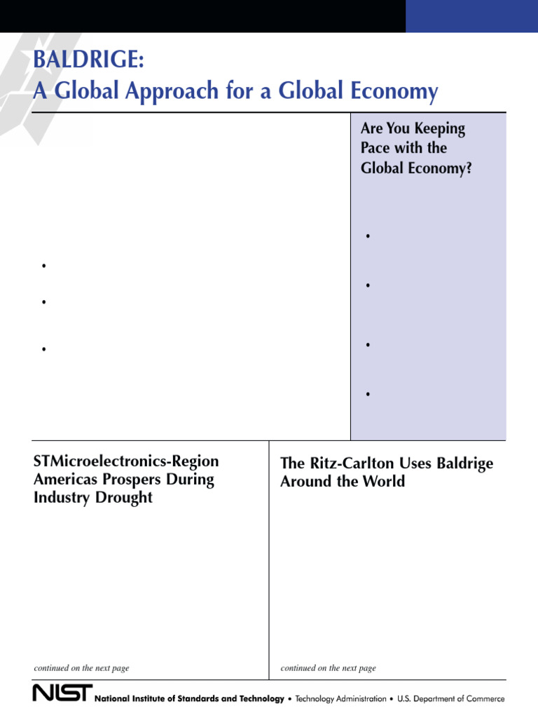 Issue Sheet Global | PDF | Business | Economies