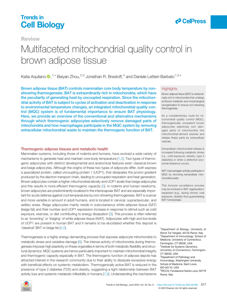 mitocondria BAT2 | PDF | Macrophage | Mitochondrion