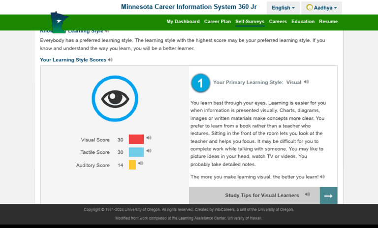 Learning Styles Survey - CIS360 Assessments | PDF | Learning Styles ...