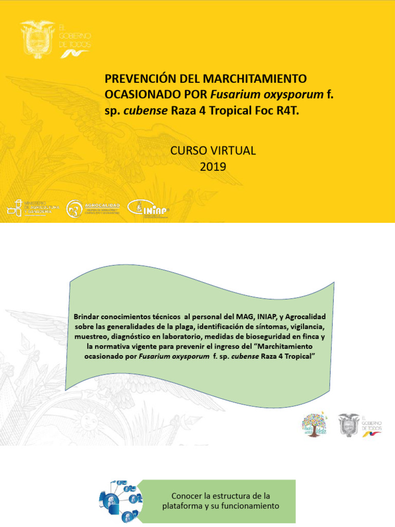 Presentación Curso Virtual Foc r4t | PDF | Laboratorios