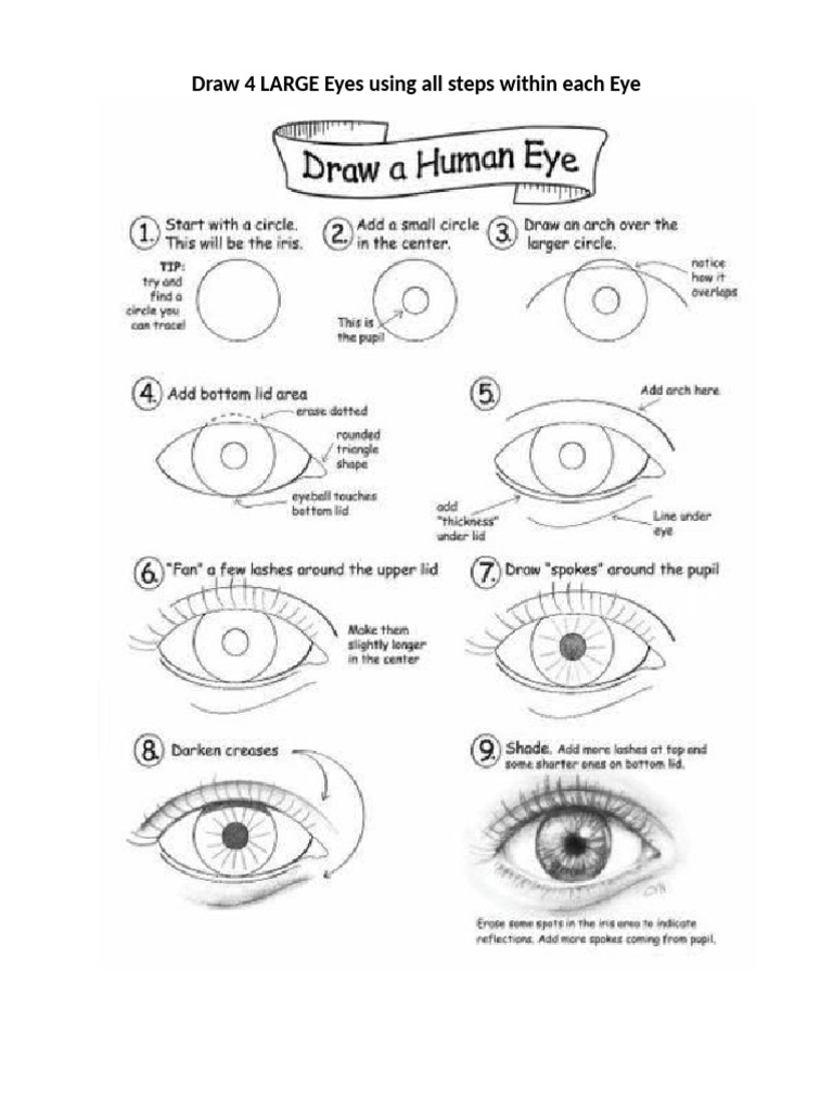 Eye Drawing Guide for Artists | PDF