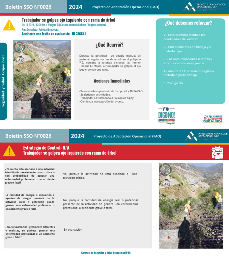 Boletin 0026 SSO PAO (002) | PDF | Seguridad y salud ocupacional | La seguridad