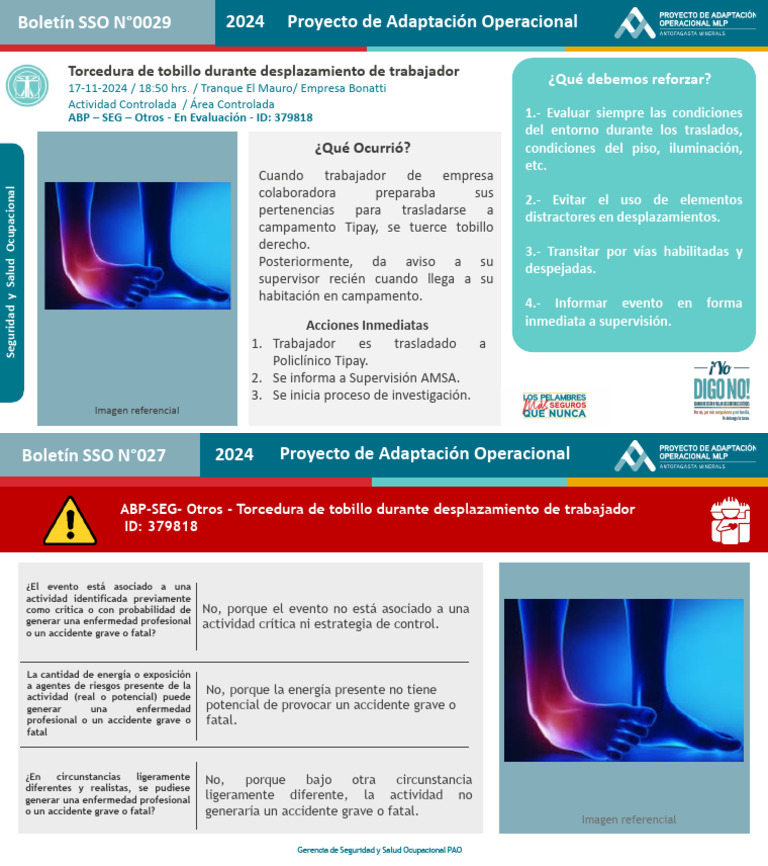 Boletin SSO PAO N0029 | PDF | Seguridad y salud ocupacional | La seguridad