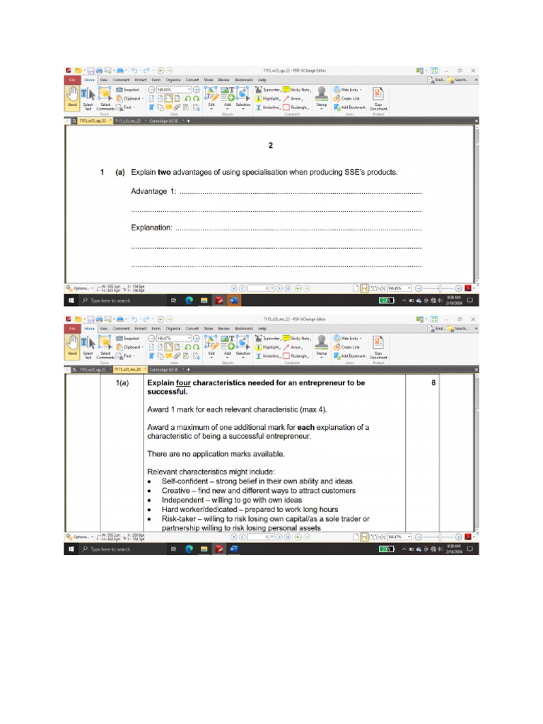 Business Size Measurement Limitations | PDF
