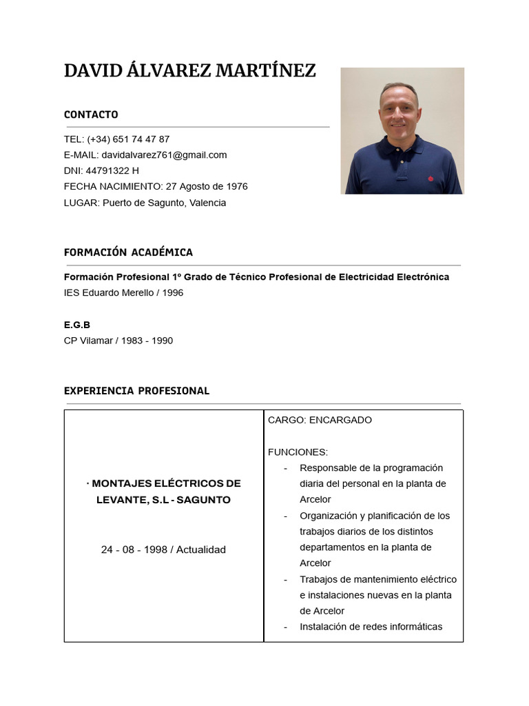 Curriculum David Álvarez Martínez | PDF