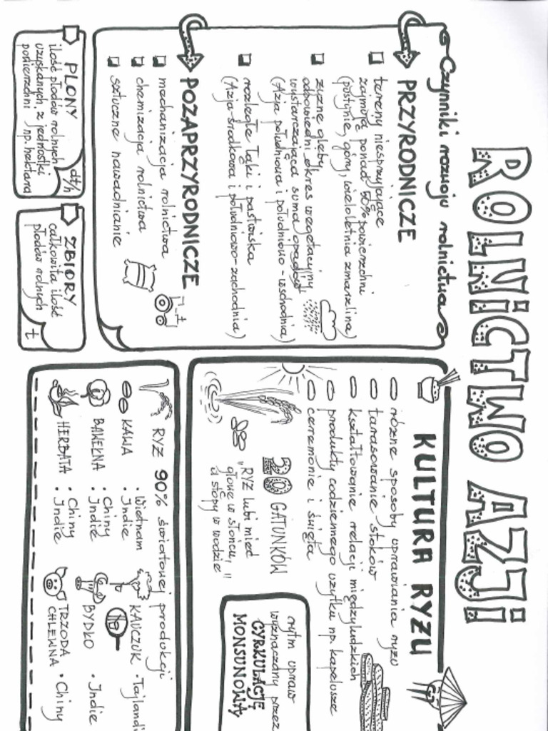 8 2 rolnictwo Azji | PDF