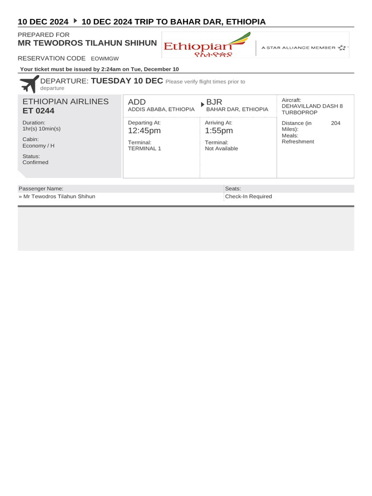 Ethiopian Airlines ADD BJR: MR Tewodros Tilahun Shihun | PDF