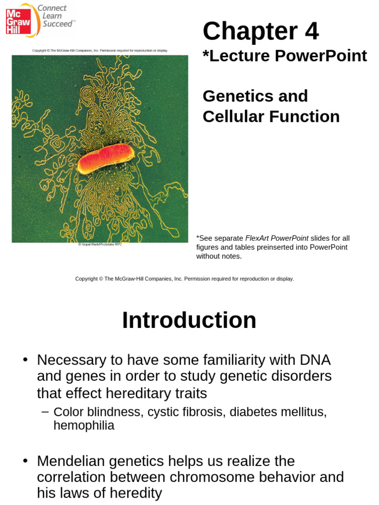 AP Lecture Ch 4-2 | PDF | Allele | Mitosis