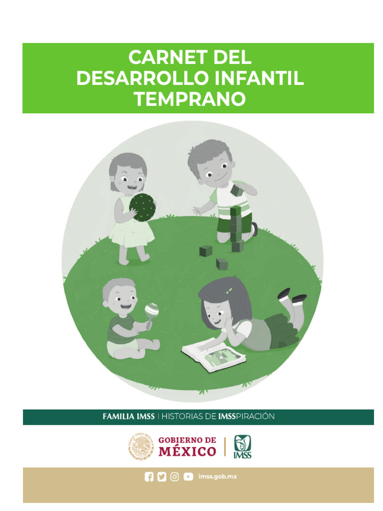 Anexo 3 Carnet de Desarrollo Infantil Temprano | PDF | Diarrea | Pecho