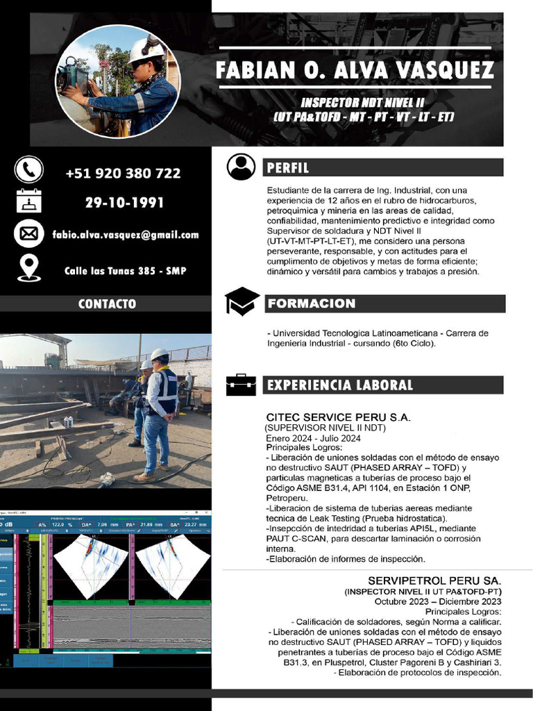 CV-ALVA VASQUEZ FABIAN OMAR - Documentado | PDF | Ingeniería | Business