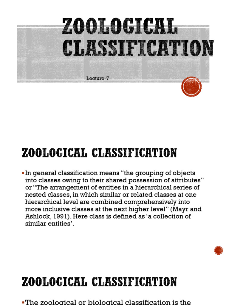 Zoological Classification L-7 | PDF | Taxonomy (Biology) | Clade