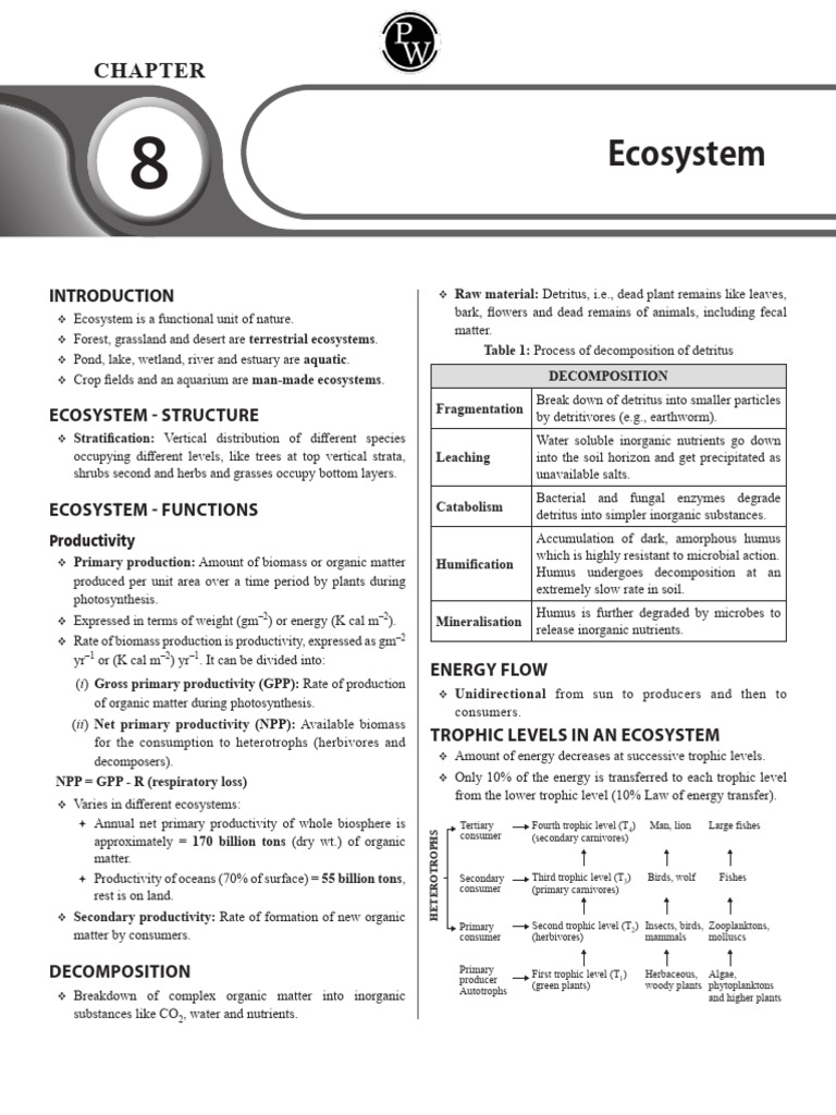 Ecosystem - Short Notes - VIJETA SERIES CLASS-12TH | PDF | Food Web ...