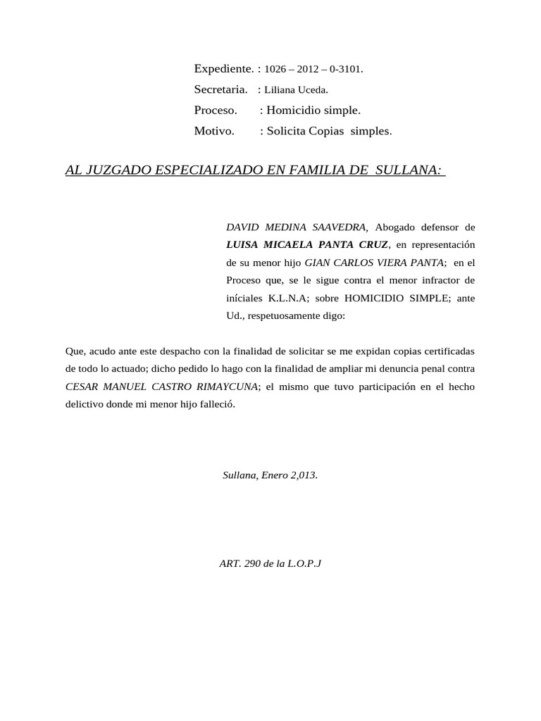 Copias Simples Familia | PDF