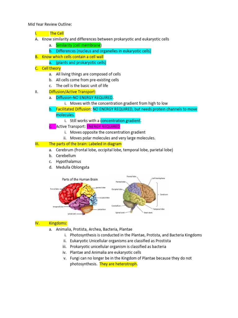 Biology EOC End of Year Review Outline RRSH | PDF | Translation ...