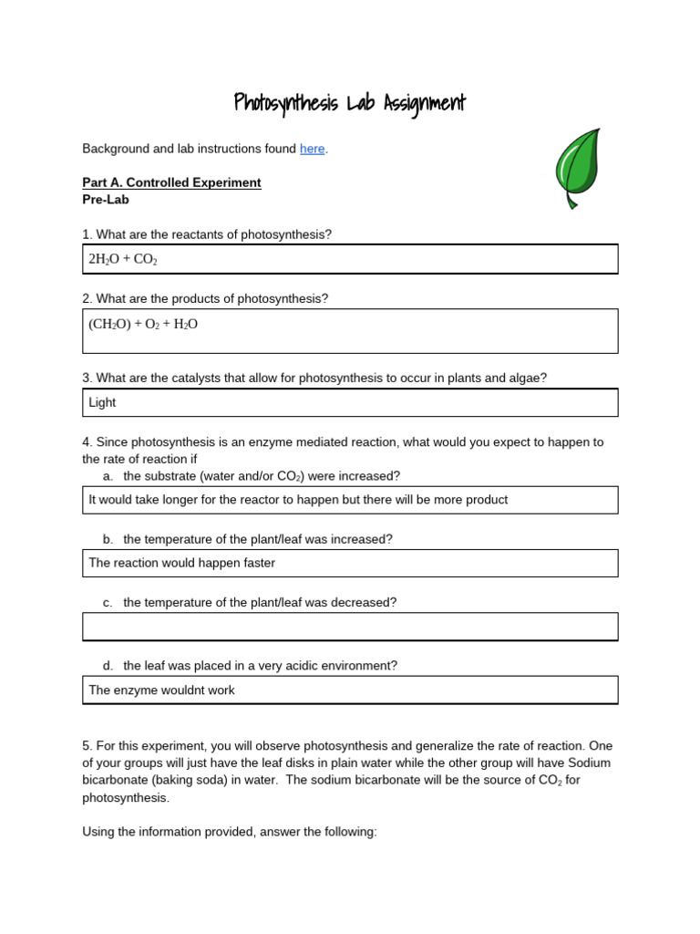 Photosynthesis Lab Assignment | PDF | Chemical Reactions | Photosynthesis