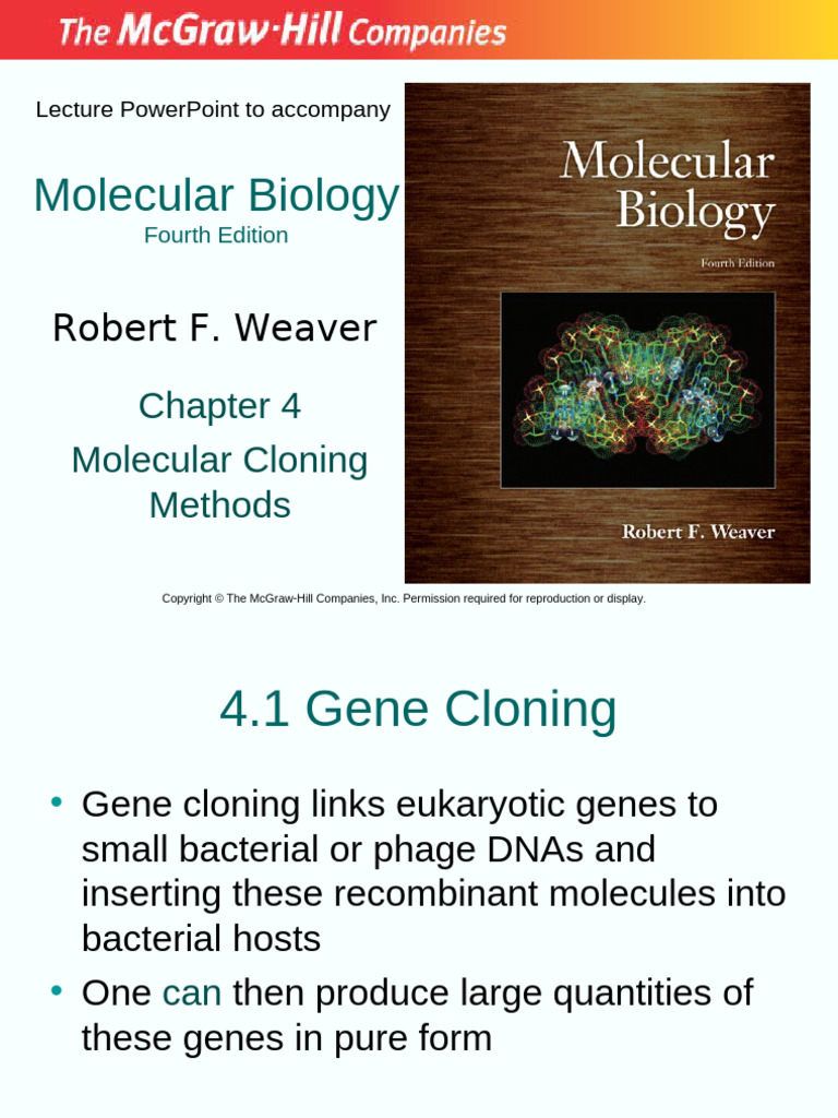 Chapt04 Lecture | PDF | Molecular Cloning | Complementary Dna