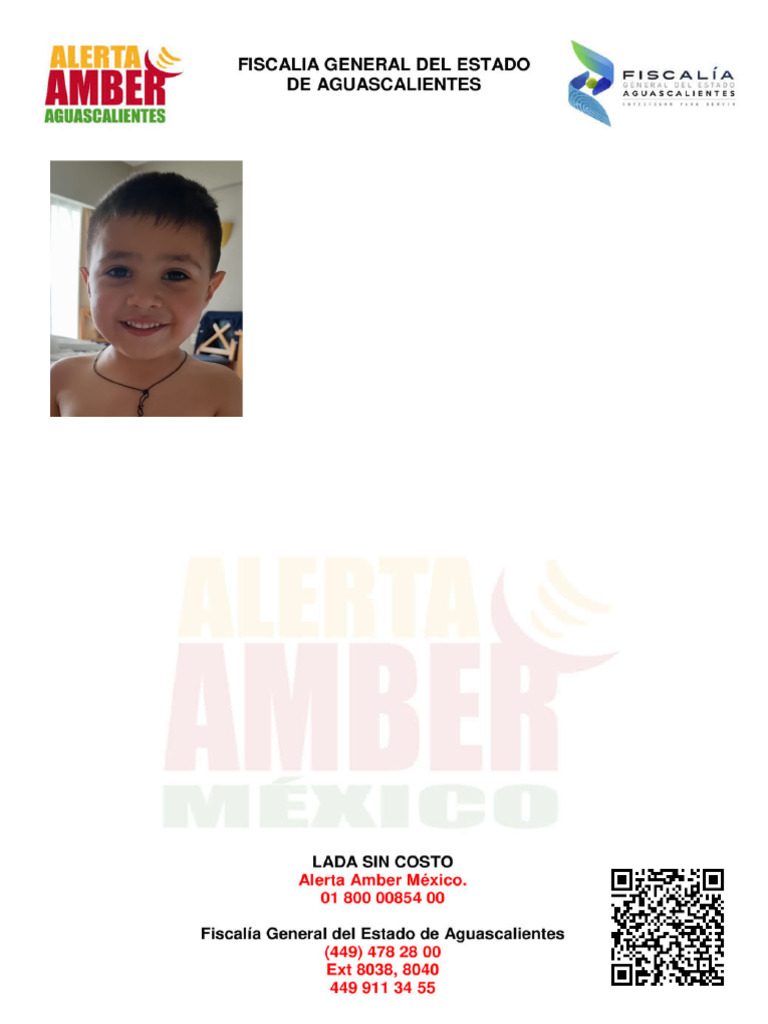 Alerta Amber | PDF