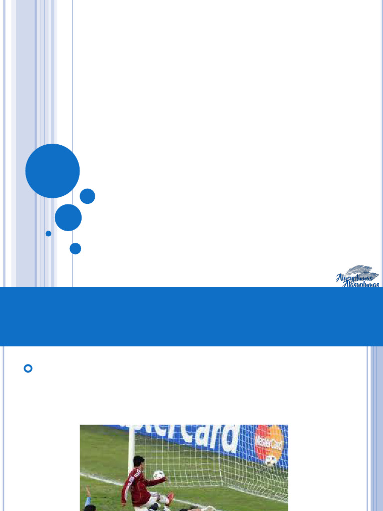 83406833-ESTRATEGIAS DE COMPRENSI N LECTORA - Primera Parte | PDF | Aves