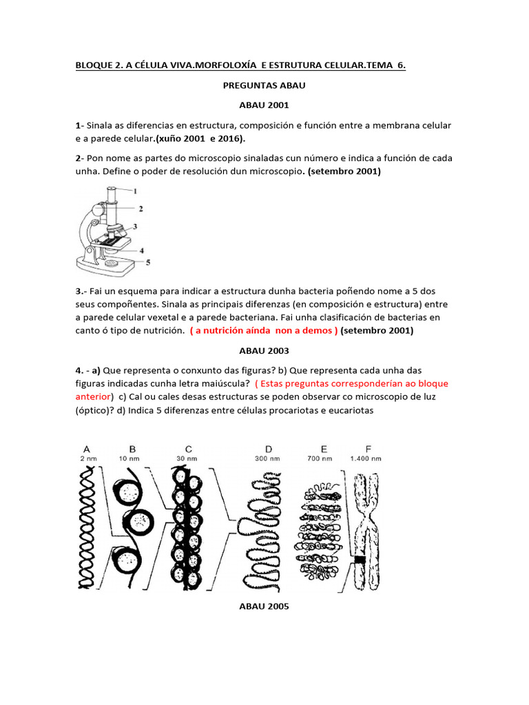Actv Pau Tema 6 | PDF | Biología Celular) | Concentración