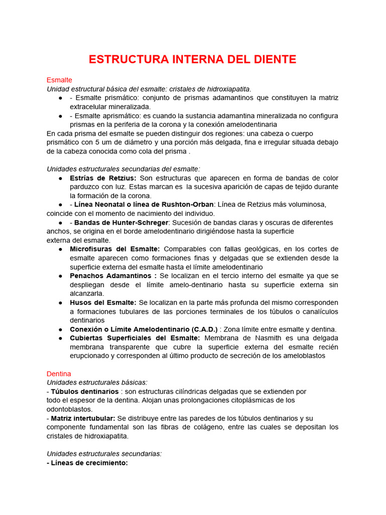 Estructura Interna del Diente | PDF | Dentina | Esmalte de dientes