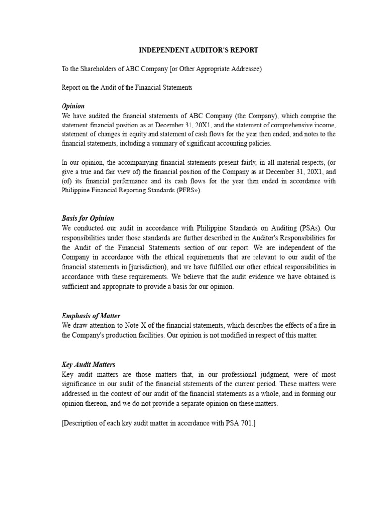 Independent Auditor's Report | PDF | Audit | Going Concern